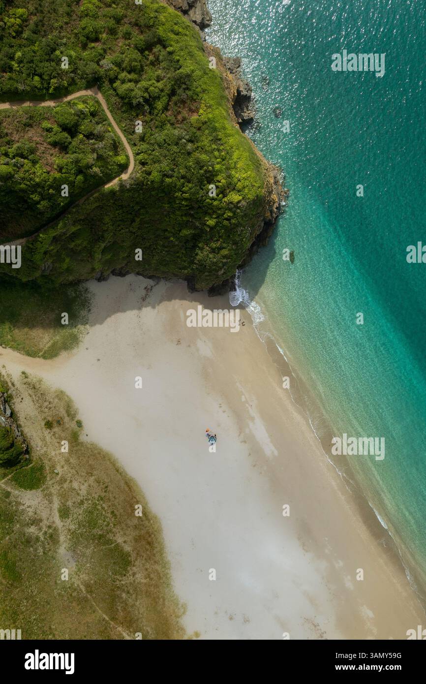 Aerial view of Lantic Bay, Fowey with people on the beach enjoying the ...
