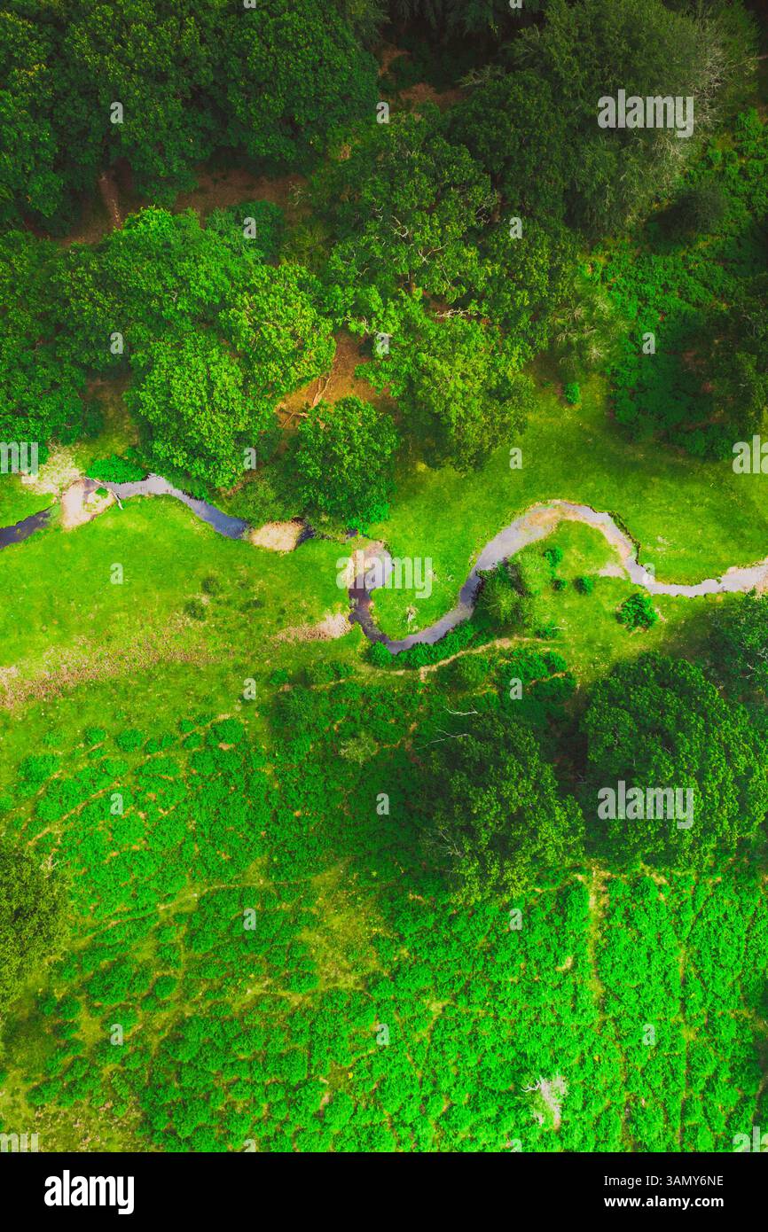 Aerial view of a stream in the middle of the woods in Fritham ...