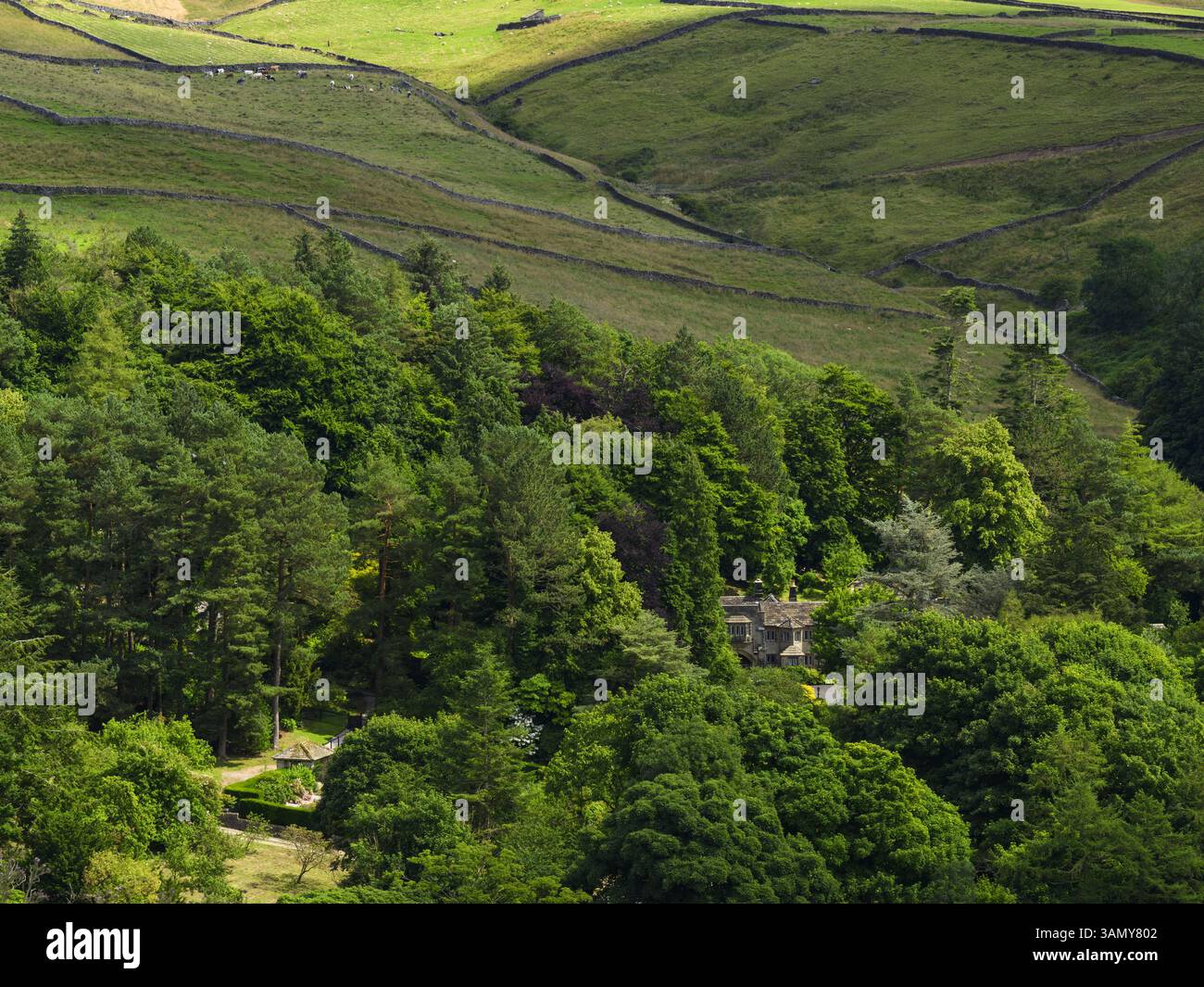 Parcevall Hall Gardens nestling in trees (woodlands, steep hillside ...