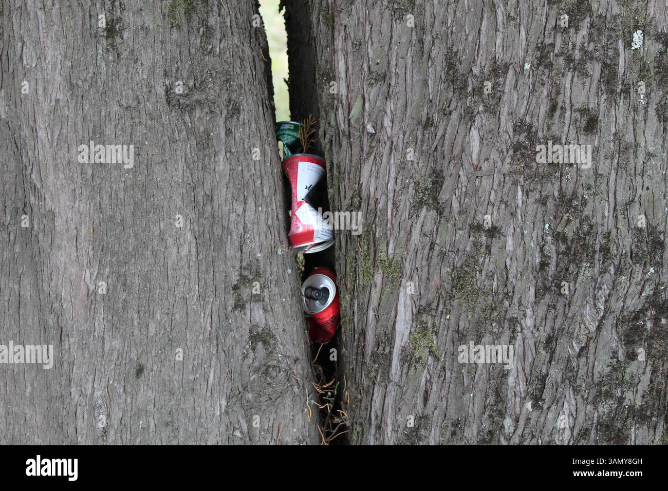 Nature and mandmade hi-res stock photography and images - Alamy