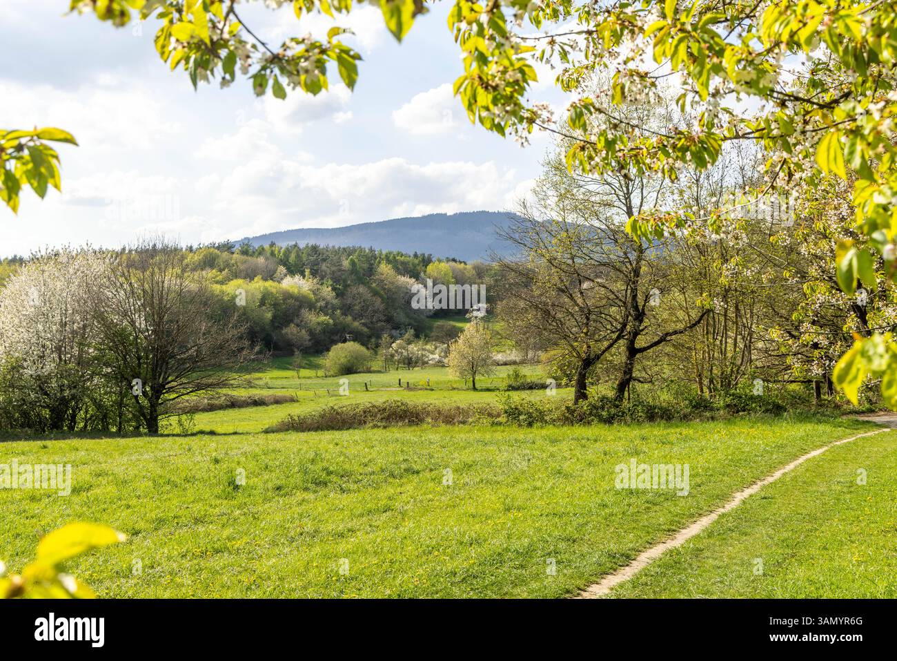 Frühling in Hessen Die Sonne scheint auf den Wald und die Landschaft im ...