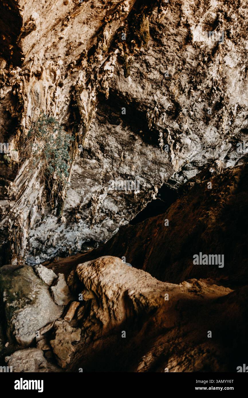 Intricate stalactite formations inside Hoq Cave in Socotra, Yemen Stock ...