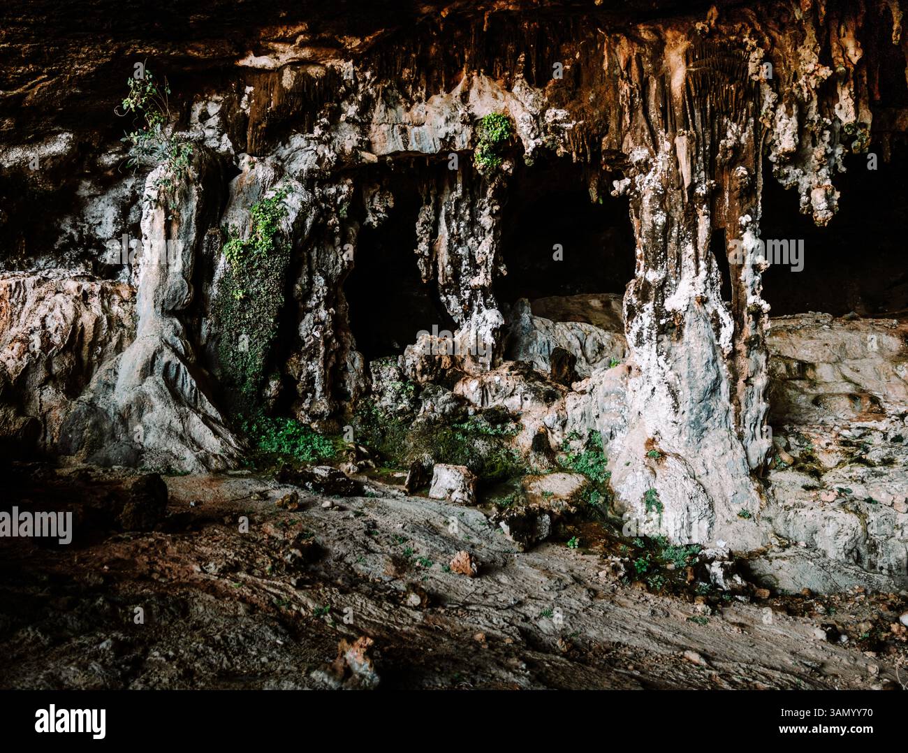 Intricate stalactite formations inside Hoq Cave in Socotra, Yemen Stock ...