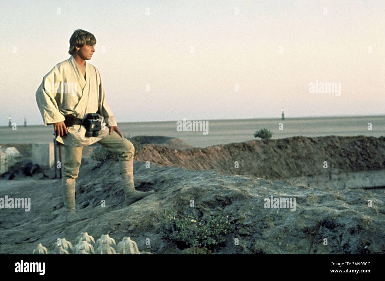 April 29, 2014 - Original Star Wars actors Harrison Ford, Carrie Fisher ...