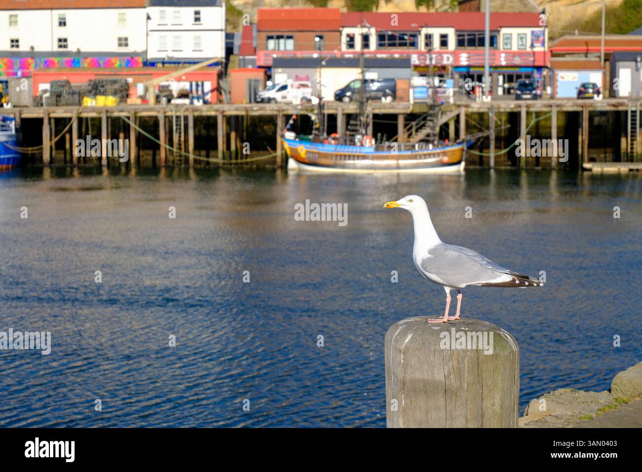 11 April 2025 - Whitby UK - Whitby and the historic old town and ...