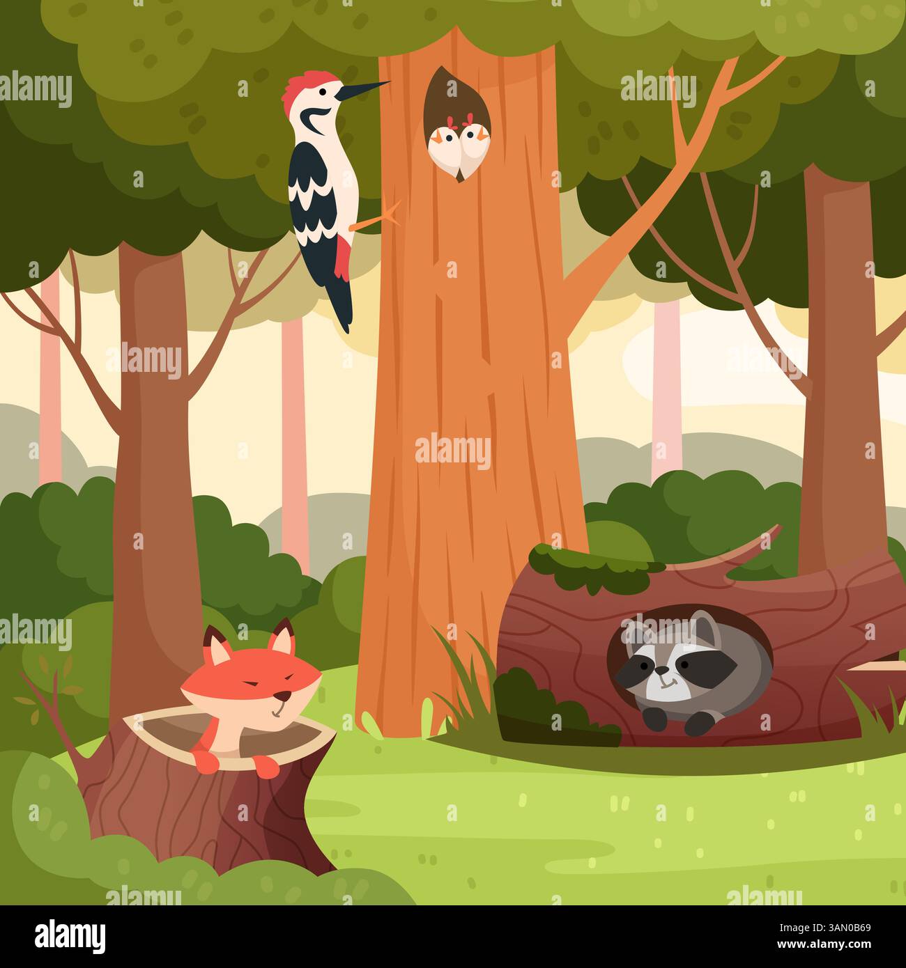 Wood animals. raccoon fox and woodpecker in forest. vector cartoon ...