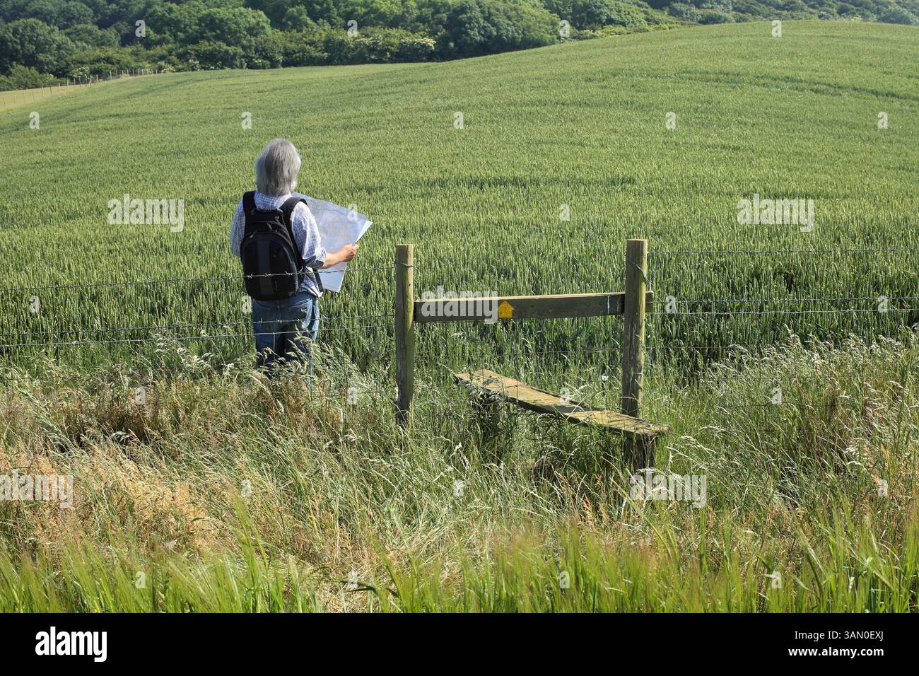 Stile hi-res stock photography and images - Alamy