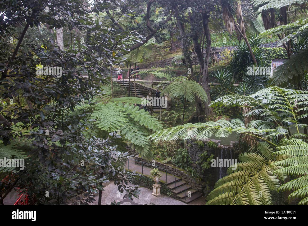 Visitors stroll through the serene paths of Monte Palace Garden in ...