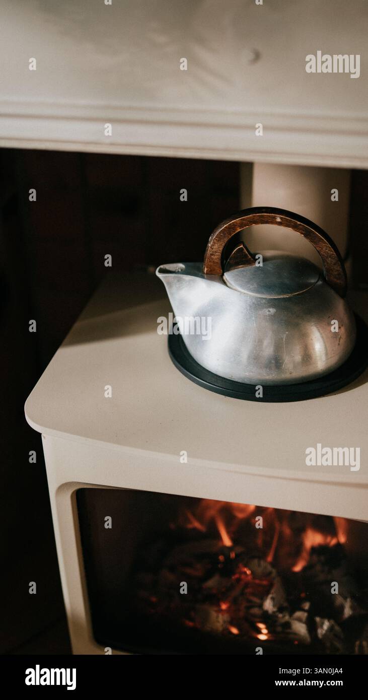 A silver tea kettle sits on a stove top. The stove is lit and the fire ...