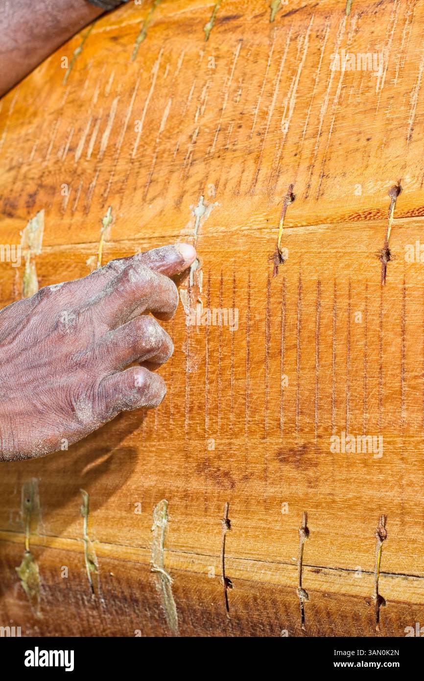 Keralal hi-res stock photography and images - Alamy