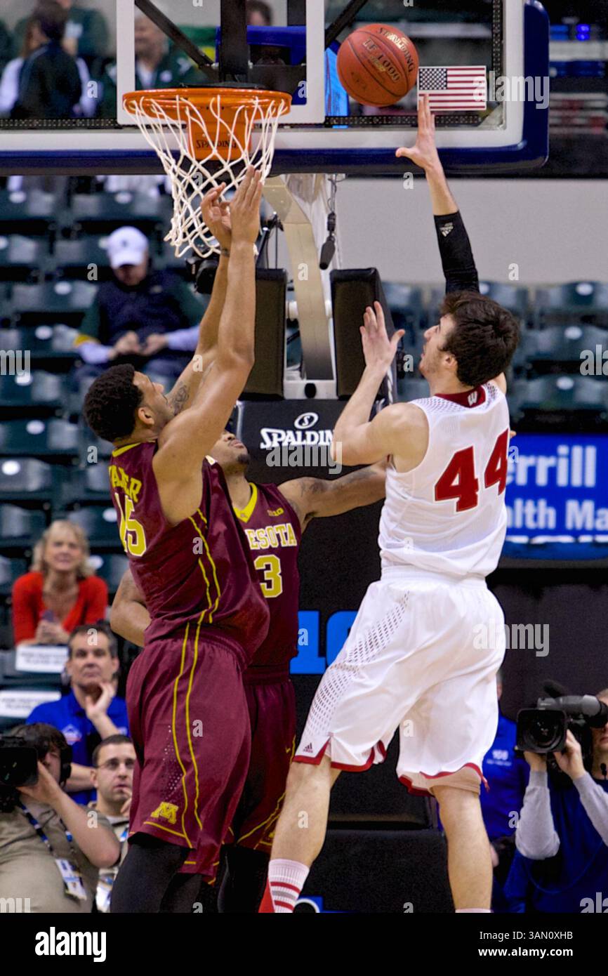 Zgophers hi-res stock photography and images - Alamy