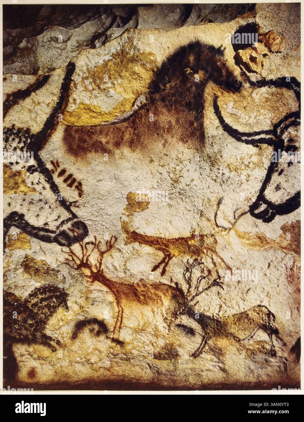 June 1, 1900 - Cave Paintings of Various Animals, Lascaux, France ...