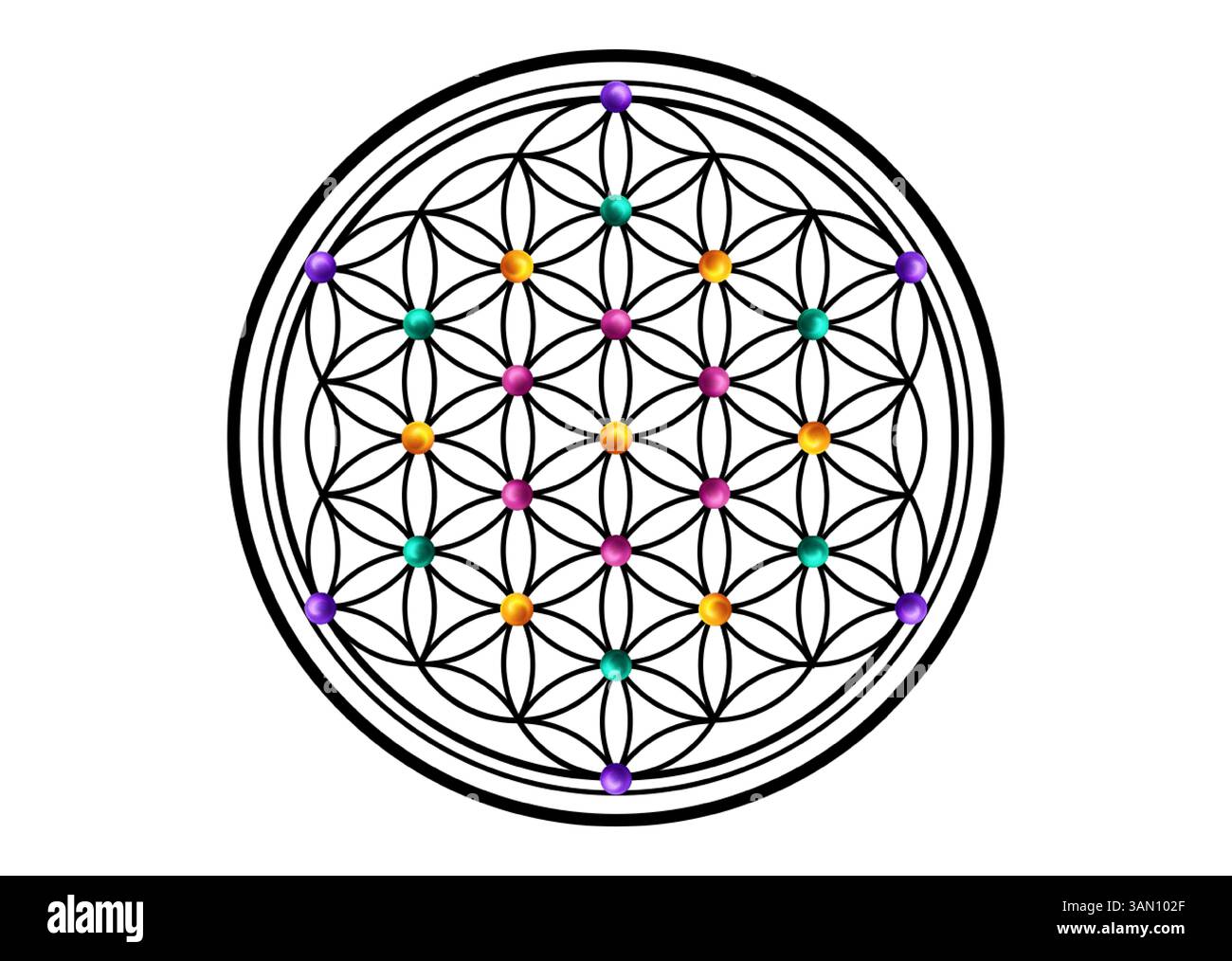 Flower of Life, Yantra Mandala in the colorful seed of life, Sacred ...