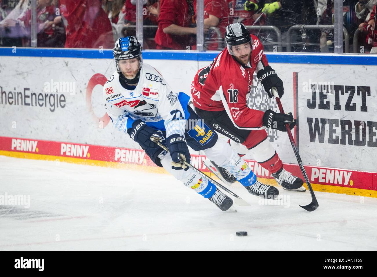 Cologne, Germany. 14th Apr, 2025. Ice hockey: DEL, Cologne Sharks - ERC ...