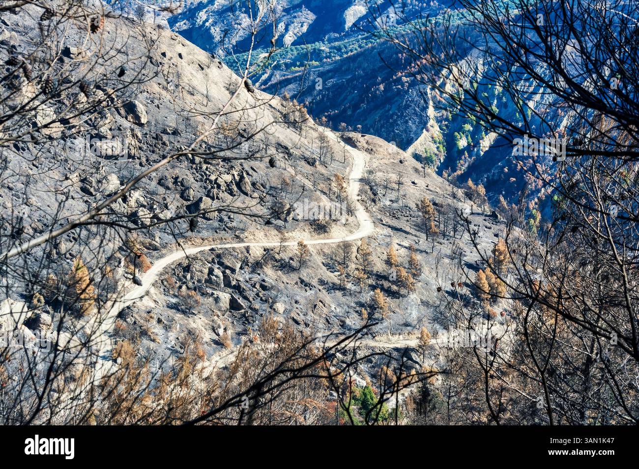 Dry, rugged landscape of Mount Penteli after a wildfire, showing a ...