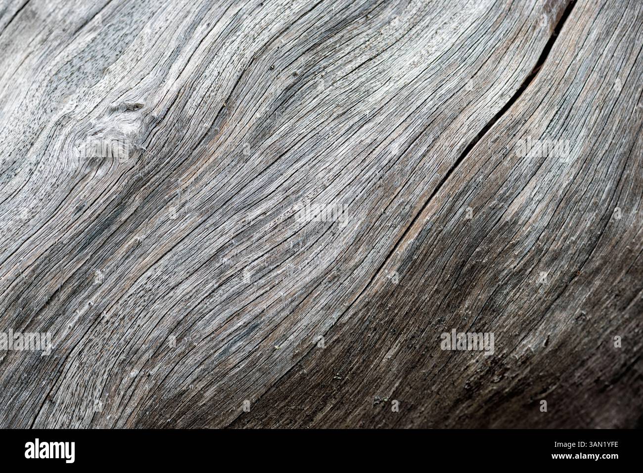 The weathered surface of wood showcases unique grain patterns and ...