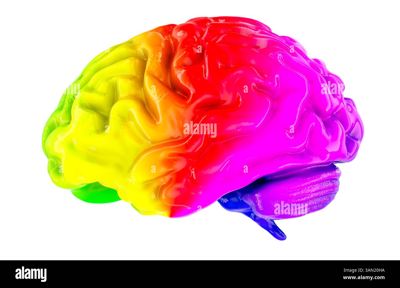 Colourful Human Brain, 3D rendering isolated on white background Stock Photo - Alamy