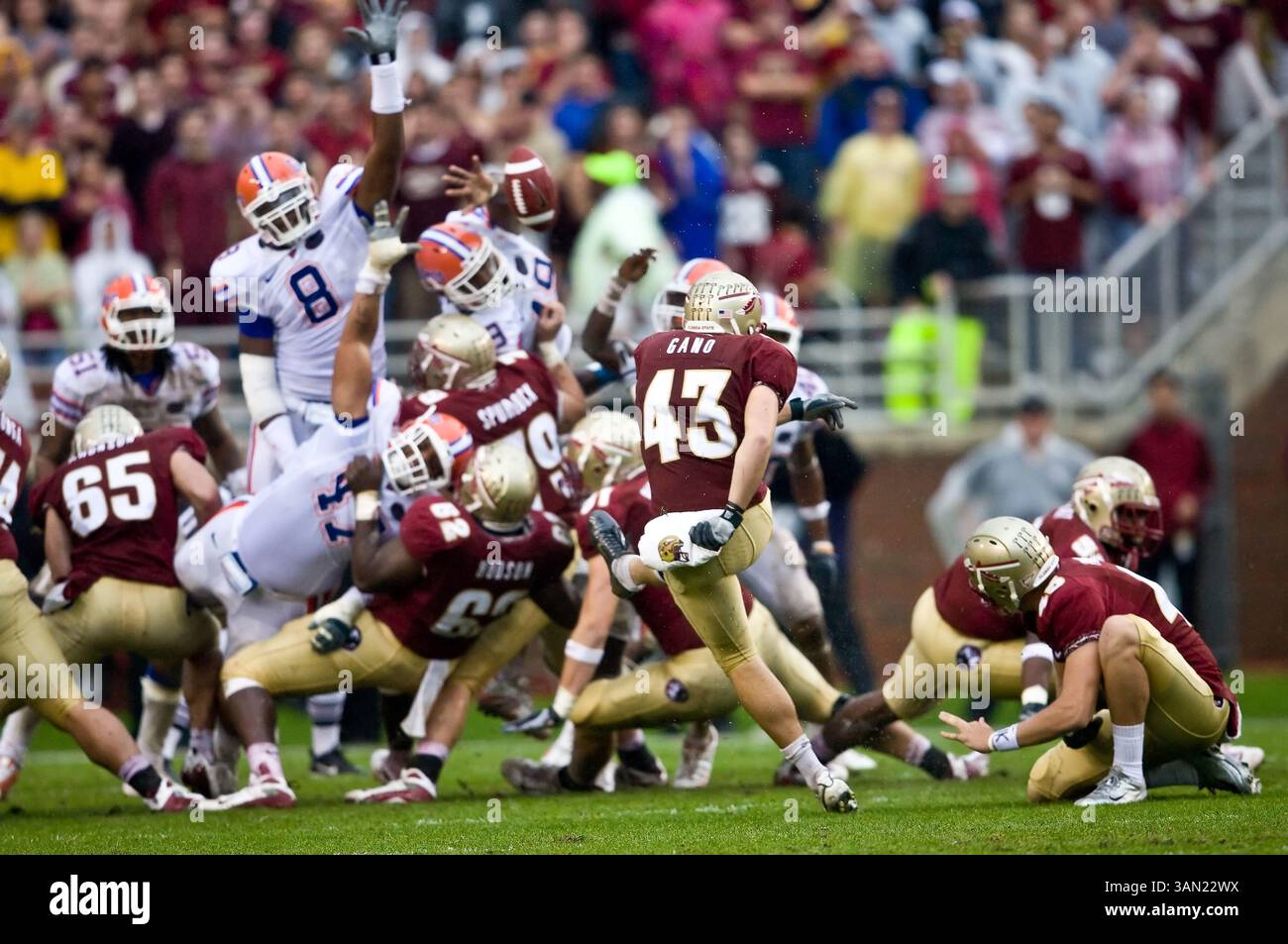 November 29, 2008: Florida State linebacker Graham Gano (43) kicks a ...