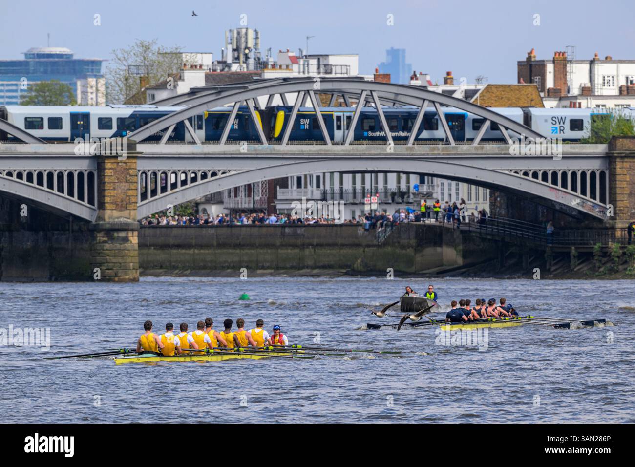 Cambridge men leading in final stretch after Barnes Bridge, Isis v ...
