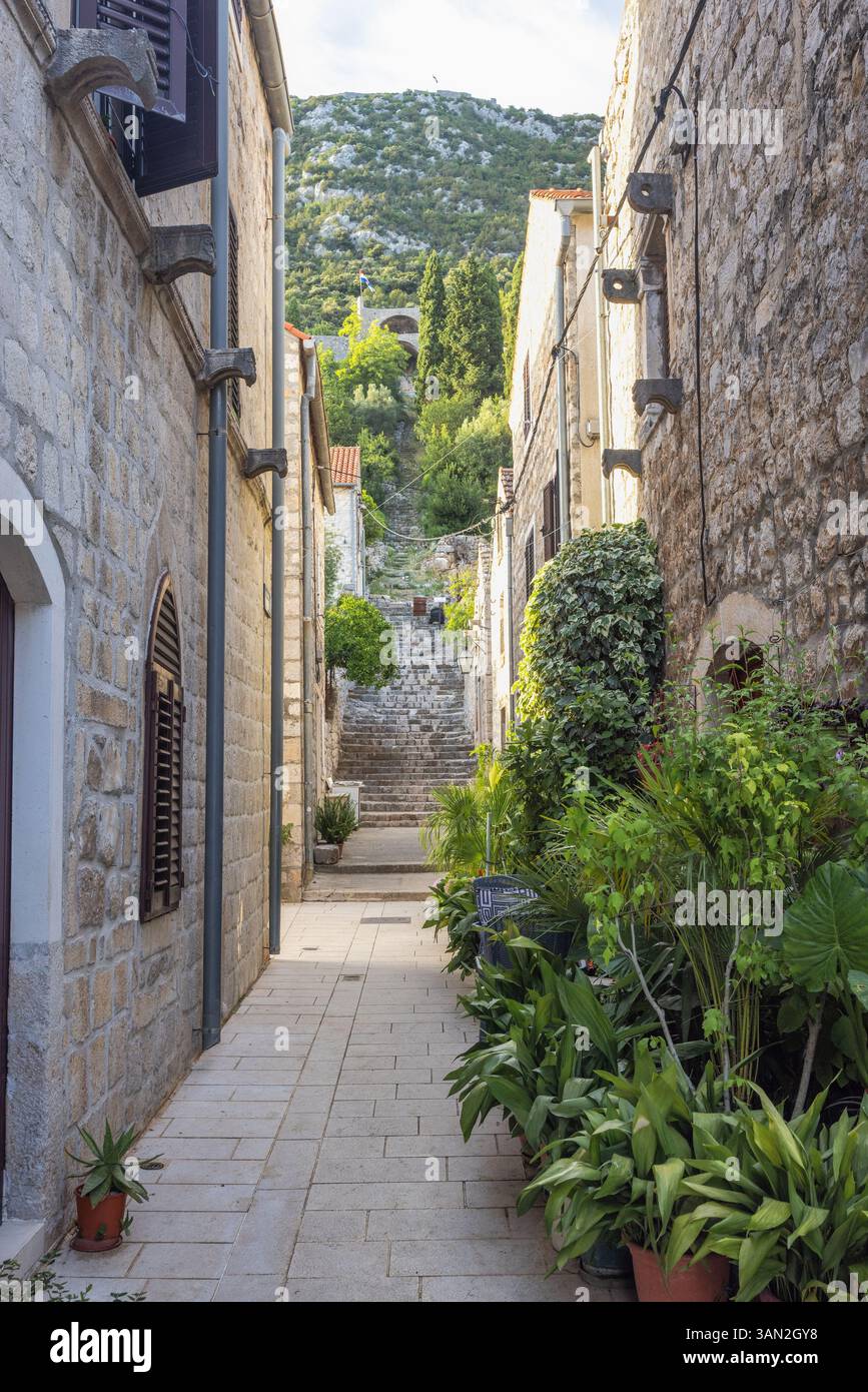 Ston, historic town in Peljesac peninsula in Croatia, Europe. Stone ...