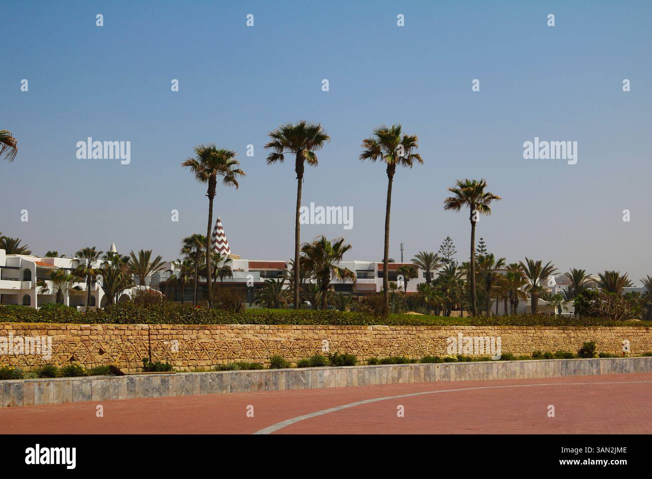 Palm trees and holiday resorts in agadir city morocco, arabic coastal ...