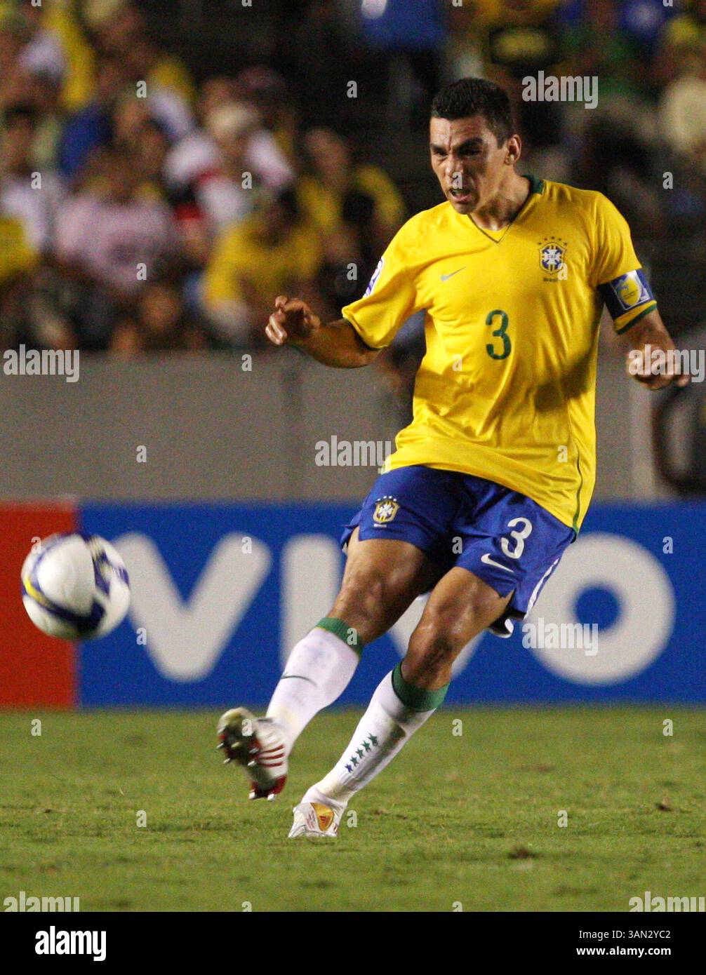 Lucio amarillo hi-res stock photography and images - Alamy