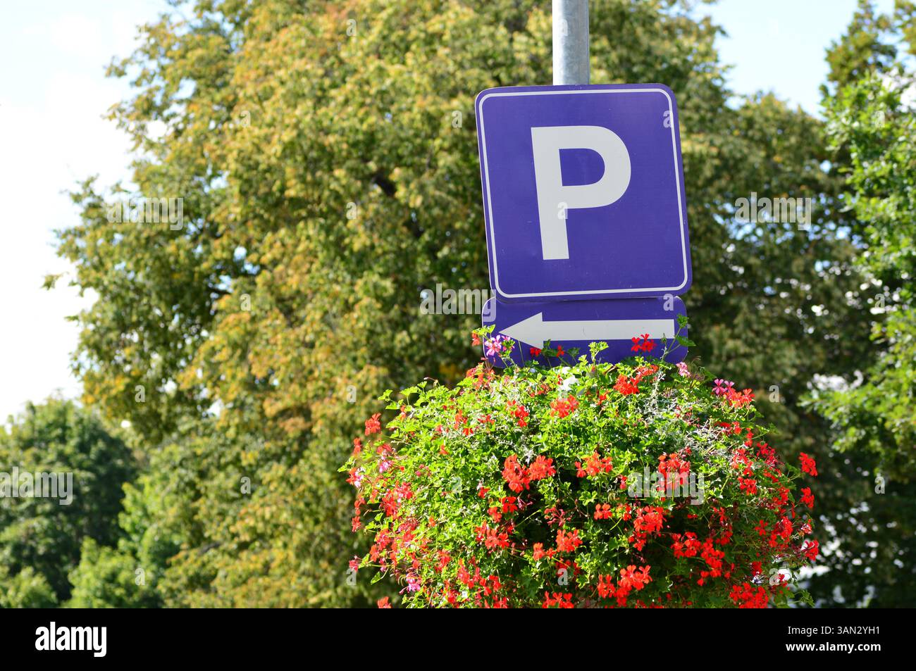 Decorative traffic sign parking and arrow turning left in blue ...