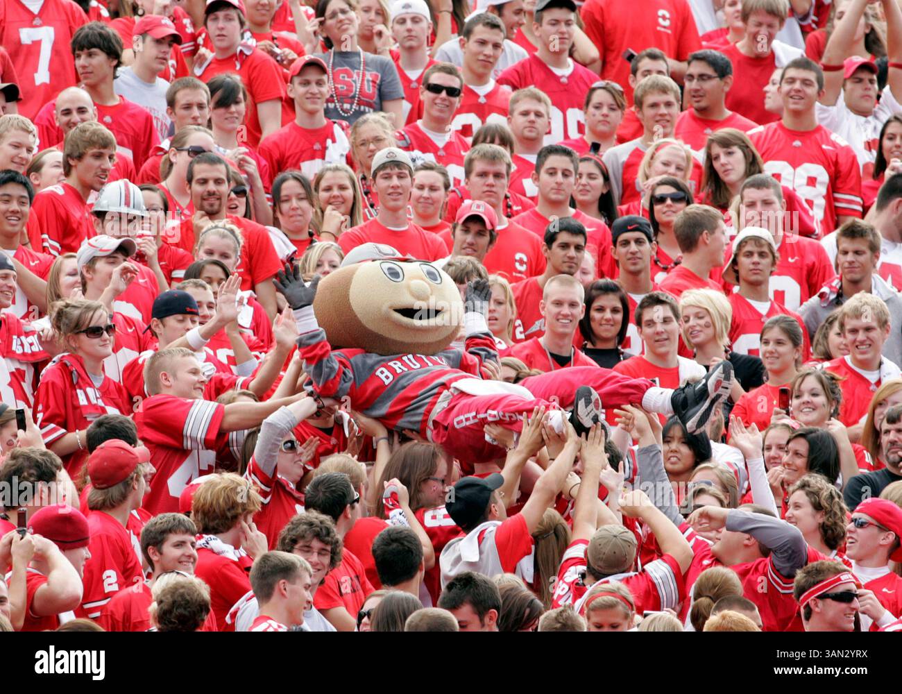 Brutus the buckeye hi-res stock photography and images - Alamy