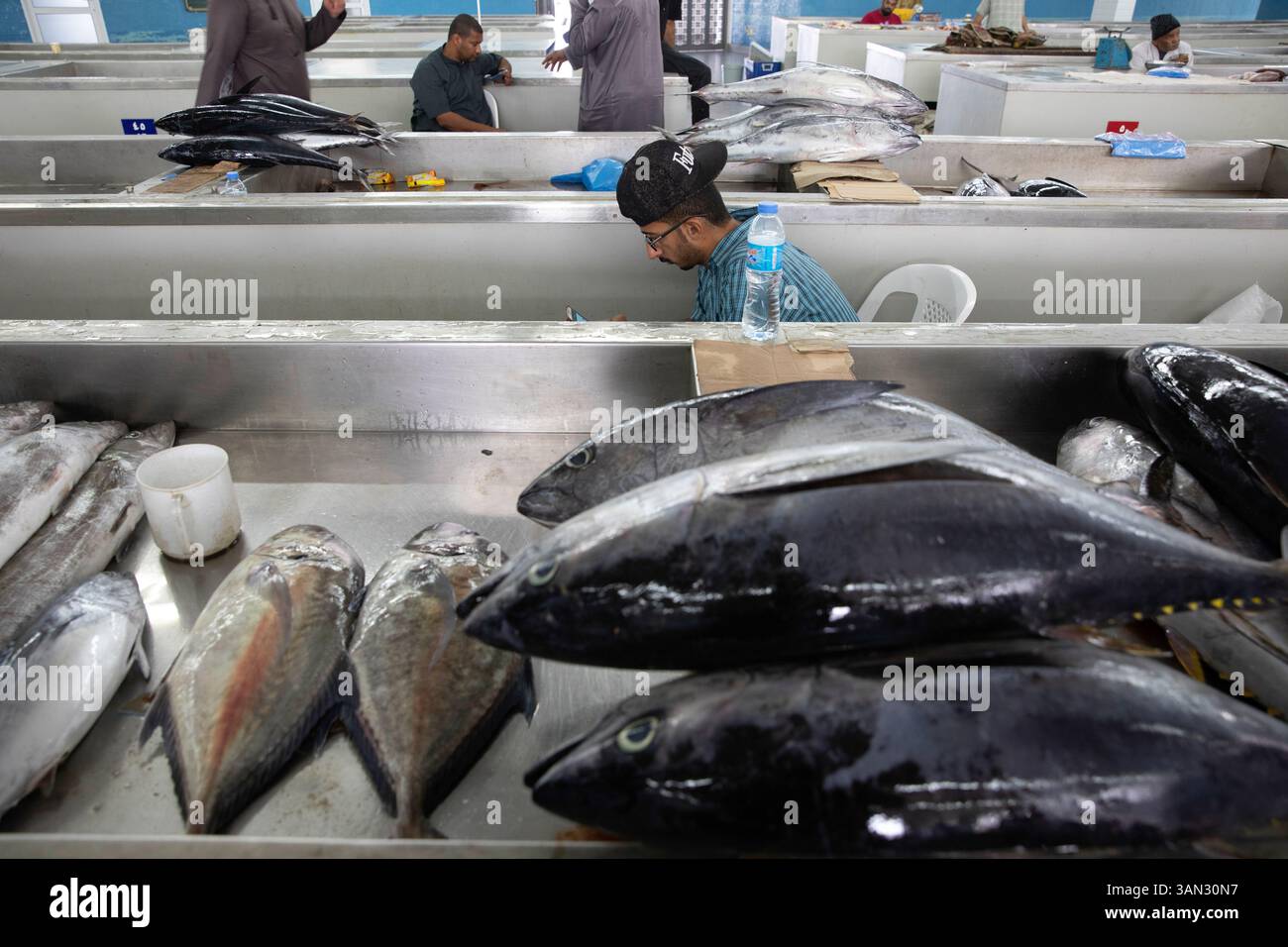 Fish Market Mutrah in Muscat Oman close to the Suq. Stack of fishes ...
