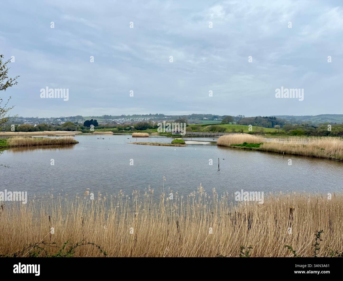 River Axe, Seaton to Colyton, Devon England: River Views Stock Photo ...