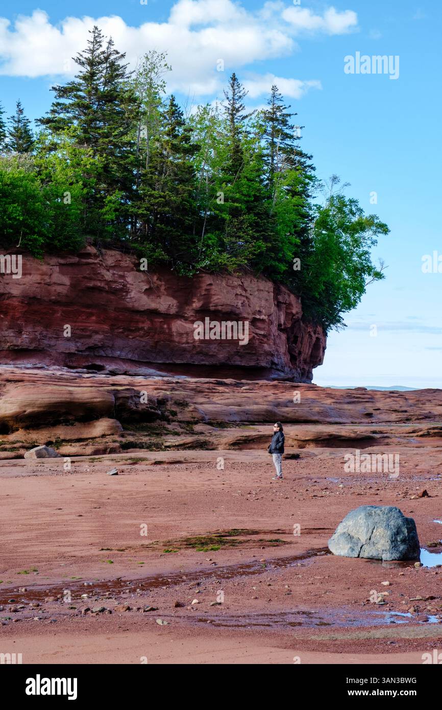 Burntcoat Head Park ocean landscape, Bay of Fundy low tide mudflats, Nova Scotia, Maritimes ...