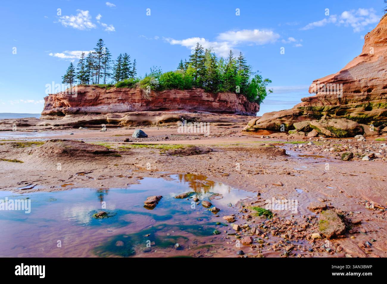 Burntcoat Head Park ocean landscape, Bay of Fundy low tide mudflats, Nova Scotia, Maritimes ...