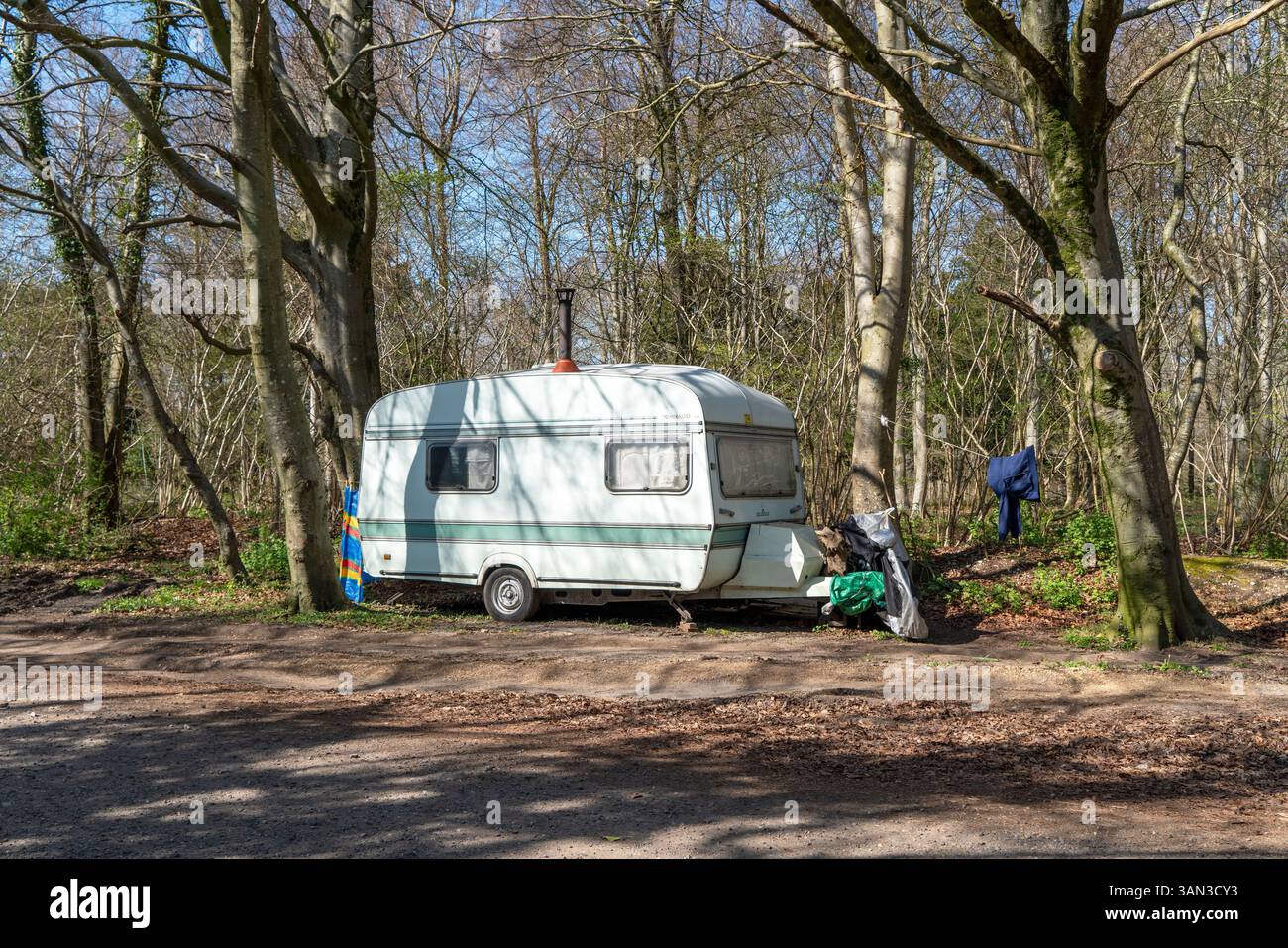 Van life in the woods hi-res stock photography and images - Alamy