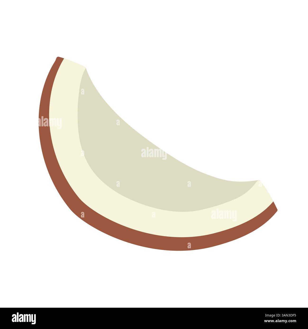 Coconut piece fruit hand drawn vector illustration Stock Vector Image ...