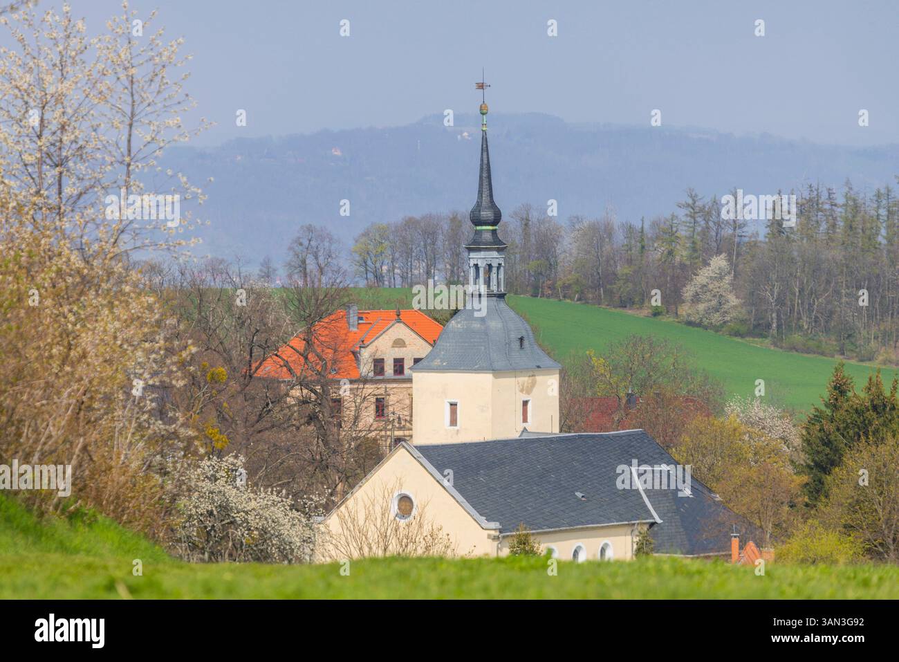 Frühling in Maxen Kirche und Schloss Maxen Maxen Sachsen Deutschland ...