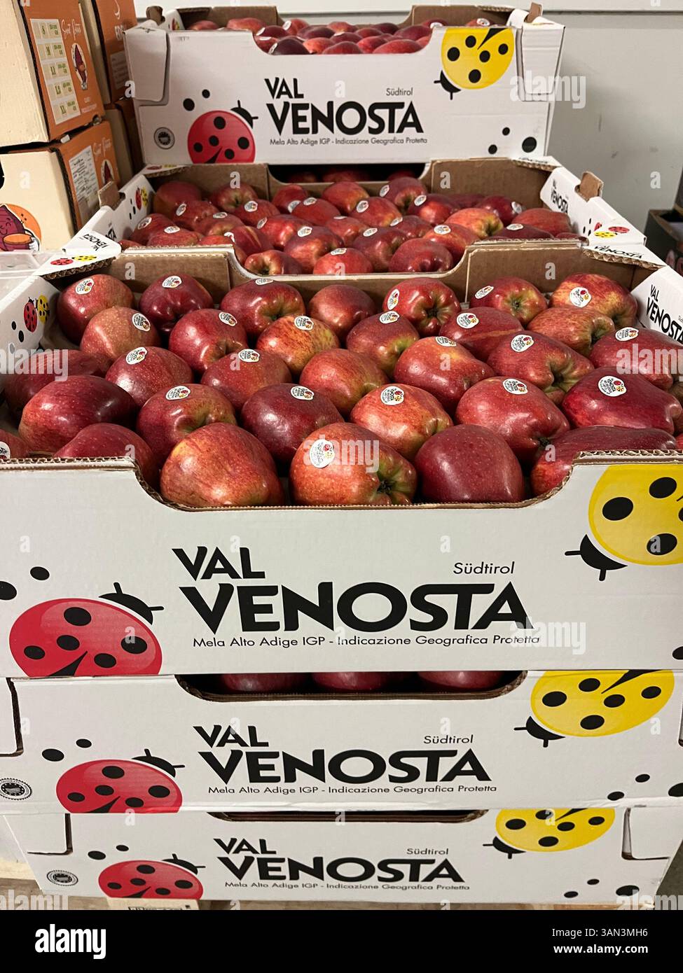 Val Venosta Sudtirol branded crates with fresh red apples, ready for ...