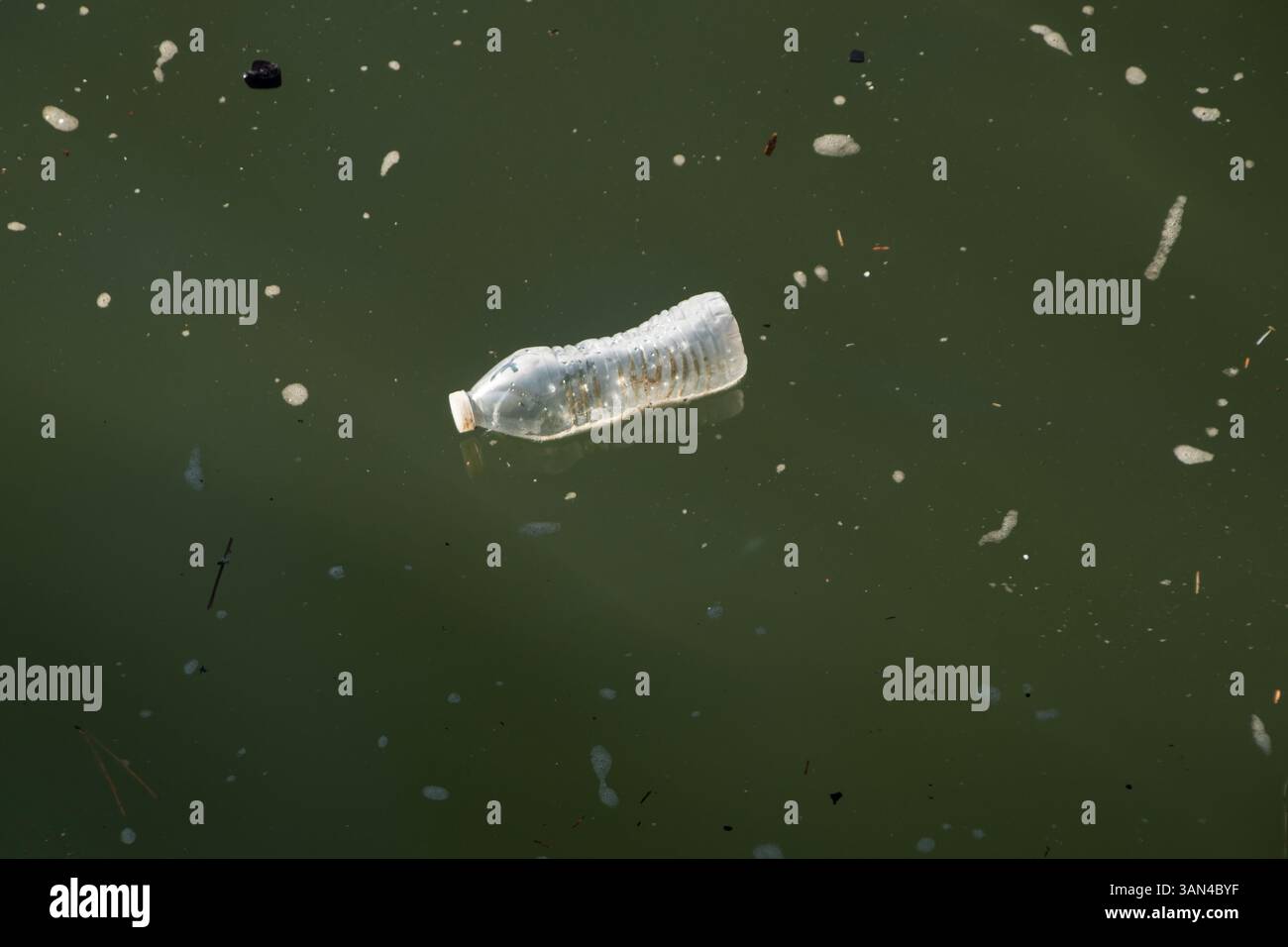 Environmental pollution from plastic waste in the sea is turning into a ...