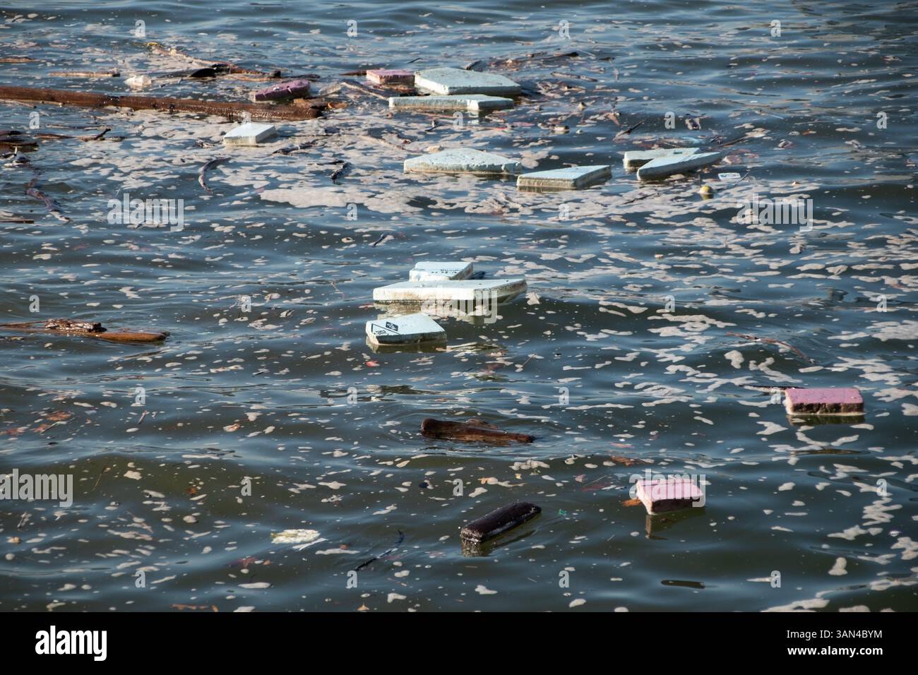 Massive plastic waste in the sea is polluting the planet and harming ...