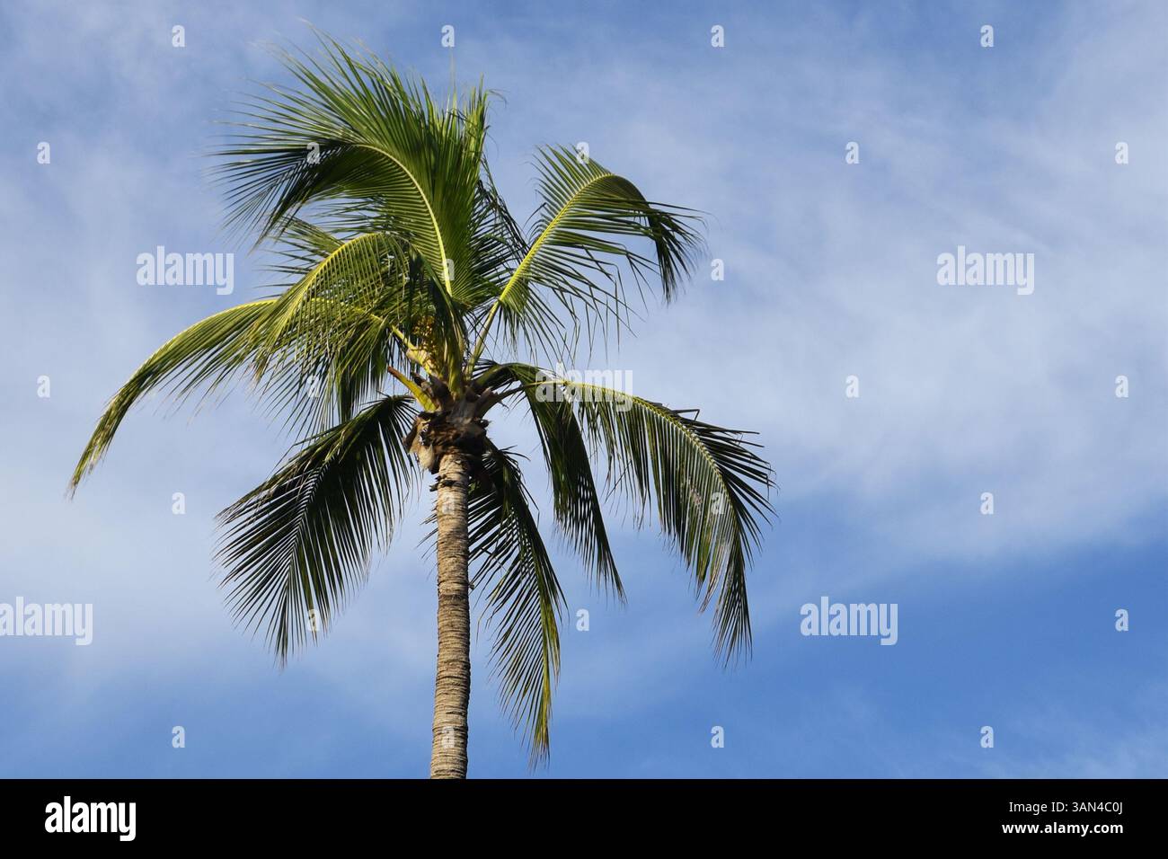 Nature detail with bold pop colors Stock Photo - Alamy