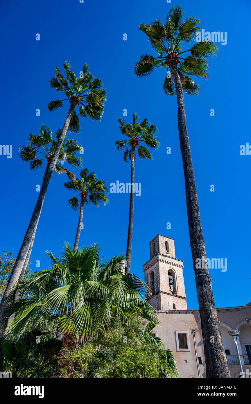 Apulian palm trees hi-res stock photography and images - Alamy