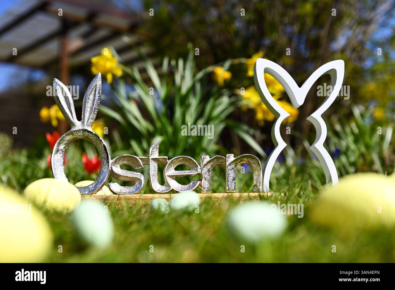 Schriftzug Ostern, Osterhase und Ostereier vor Frühlingsblumen *** Easter lettering, Easter ...