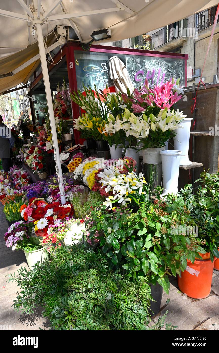 Flower stall, La Rambla, Barcelona Spain Stock Photo - Alamy