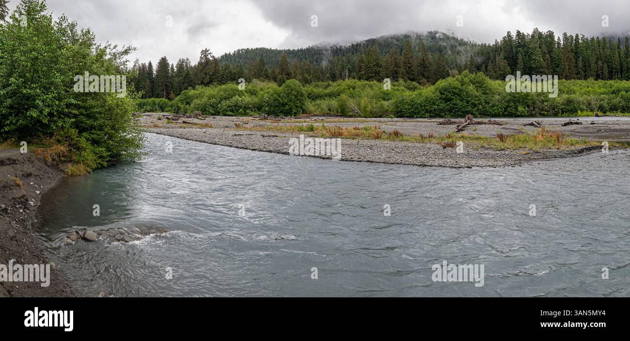Hoh River in the Olympic National Park, WA Stock Photo - Alamy