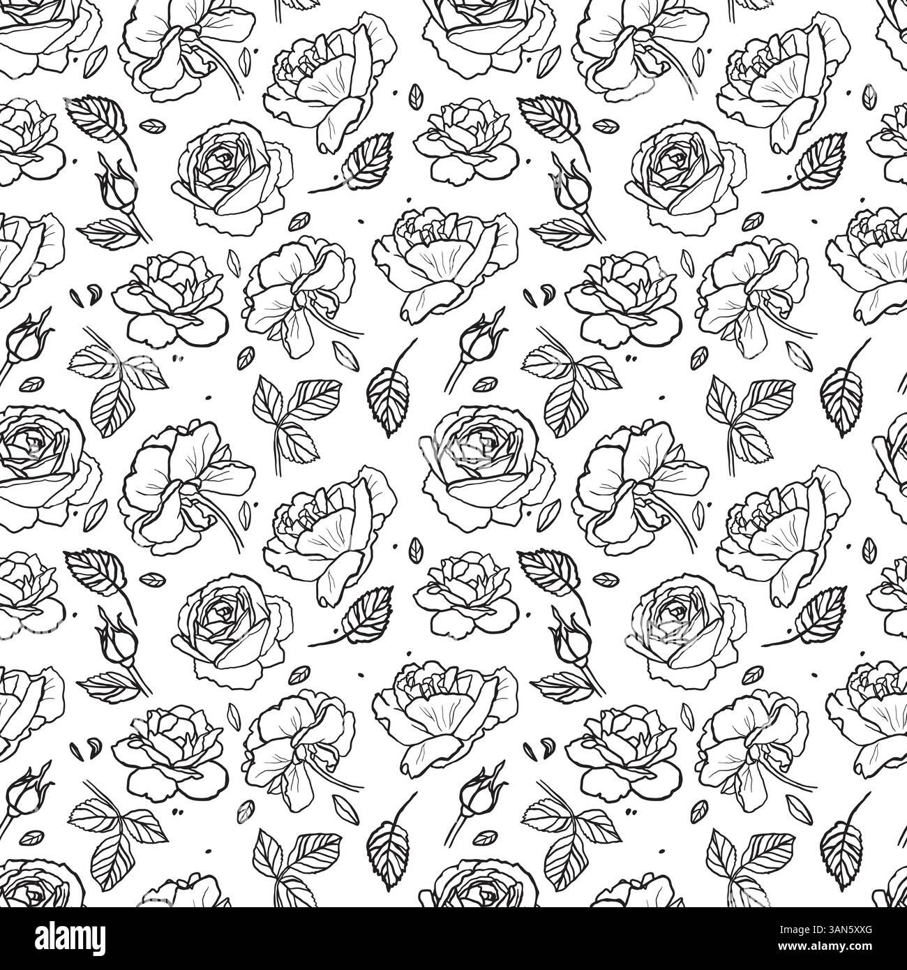Vector outline seamless pattern with roses Stock Vector Image & Art - Alamy