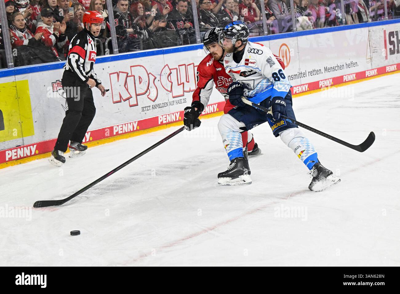 Eishockey DEL - 24/25 - Playoff-Halbfinale Spiel 6: Kölner Haie vs ERC ...