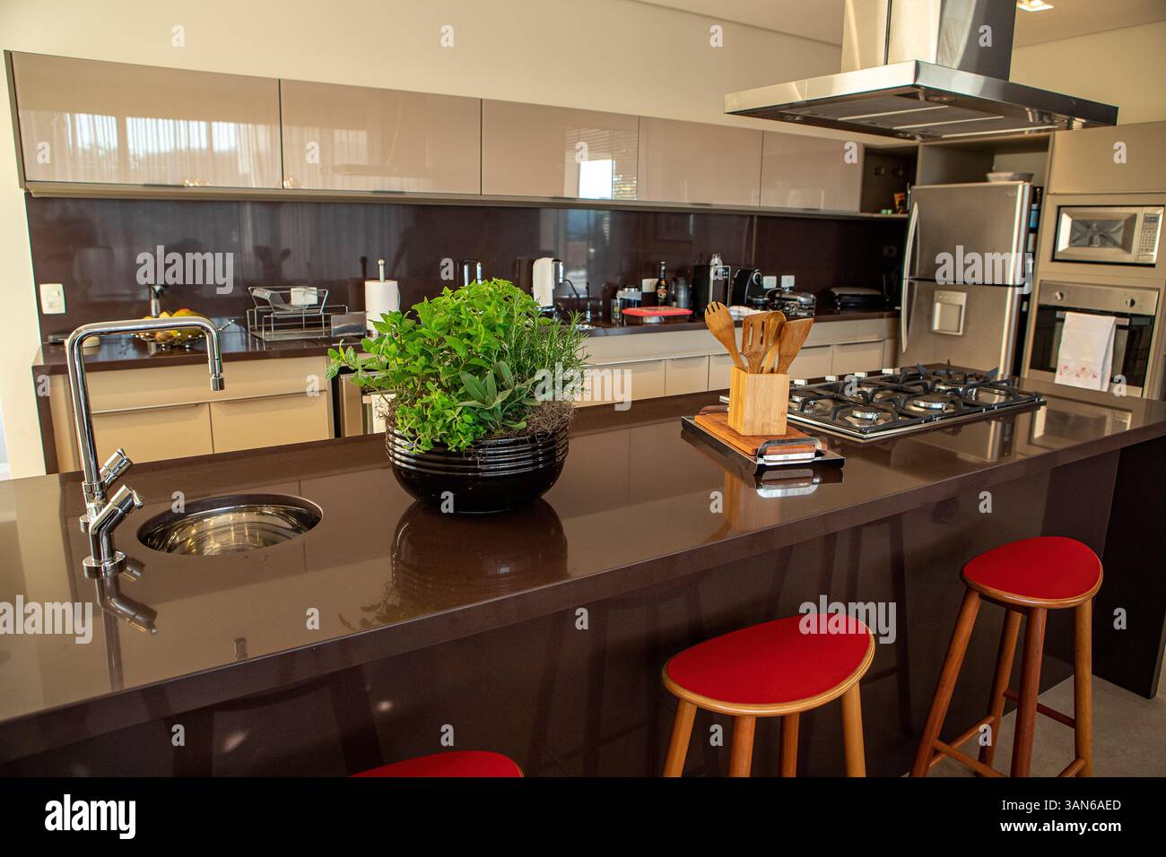 variety of aromatic culinary herbs in vase over the sink in a modern ...