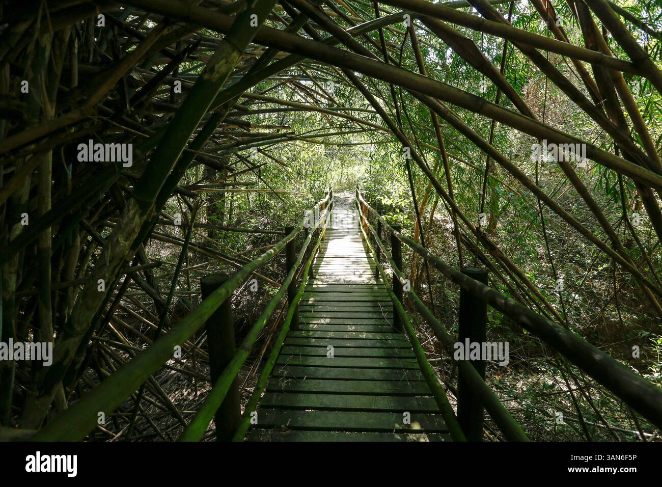 Bamboo covered bridge on hi-res stock photography and images - Alamy