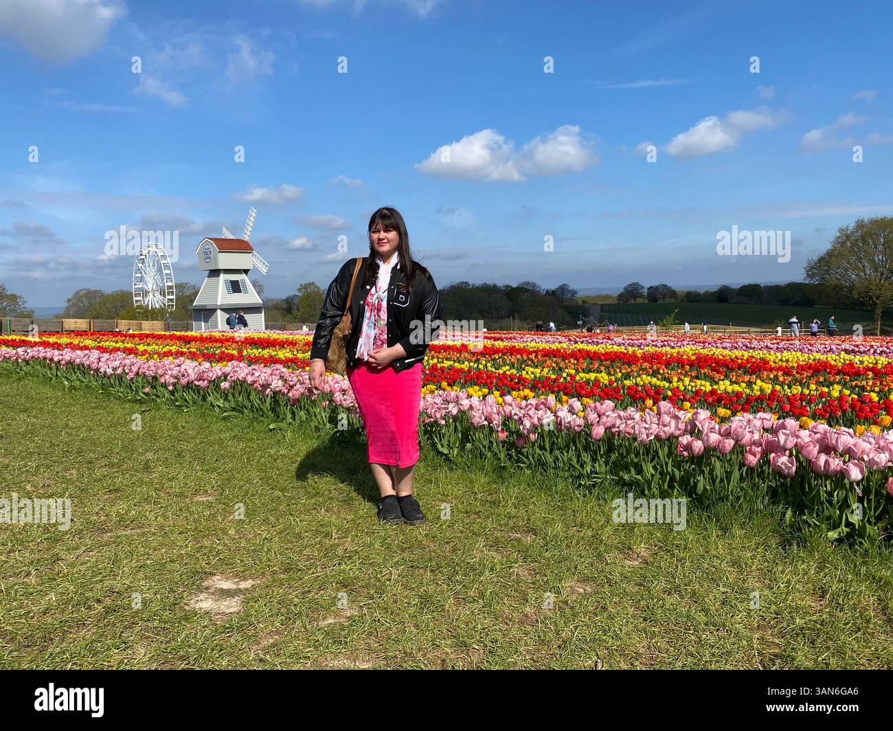 Tulleys Tulip Festival 2025 is a natural spectacle featuring 1.5 ...