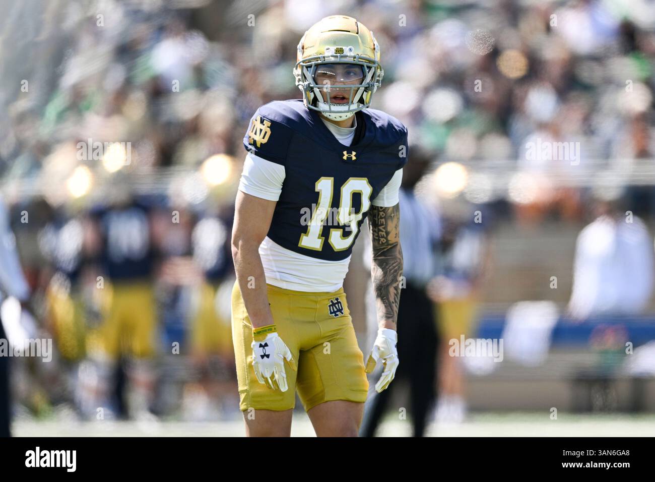SOUTH BEND, IN - APRIL 12: Notre Dame WR Logan Saldate (19) during the ...