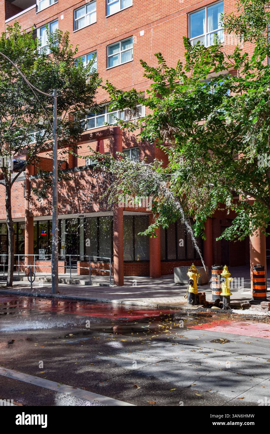 Fire hydrant water flushing through attachment on a street The ...
